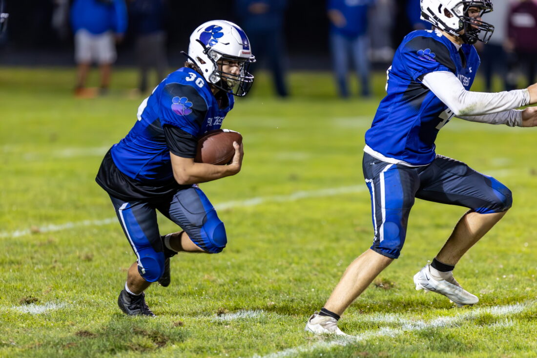 Titans storm past Panthers 35-12 | News, Sports, Jobs - Observer Today